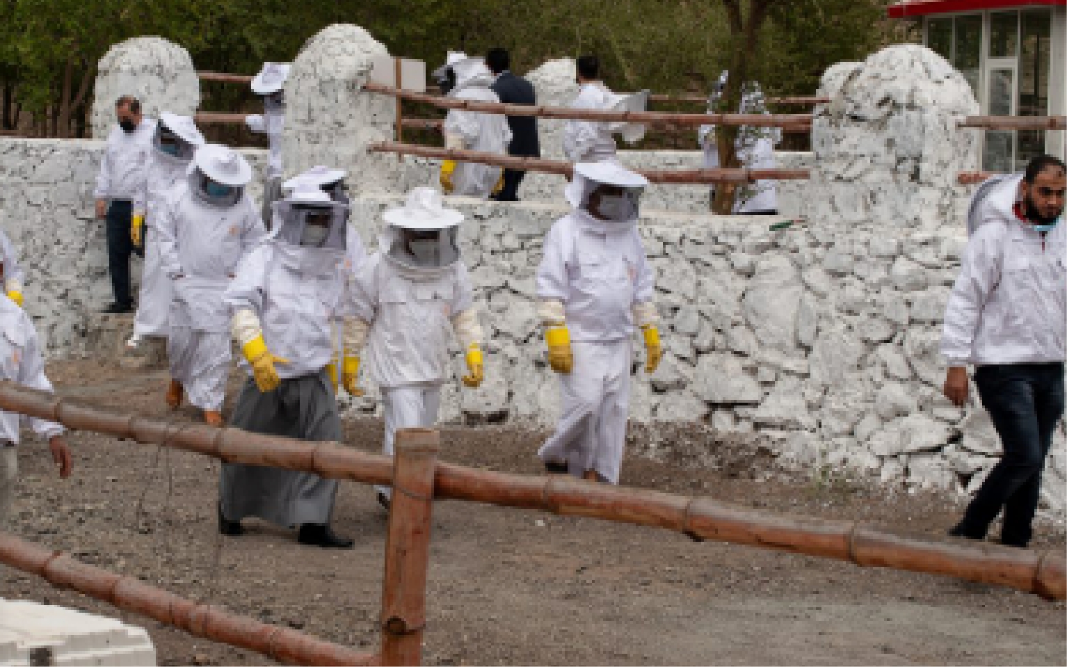 A UAE blogger chooses Hatta Honey Bee Garden for Holiday with his ...