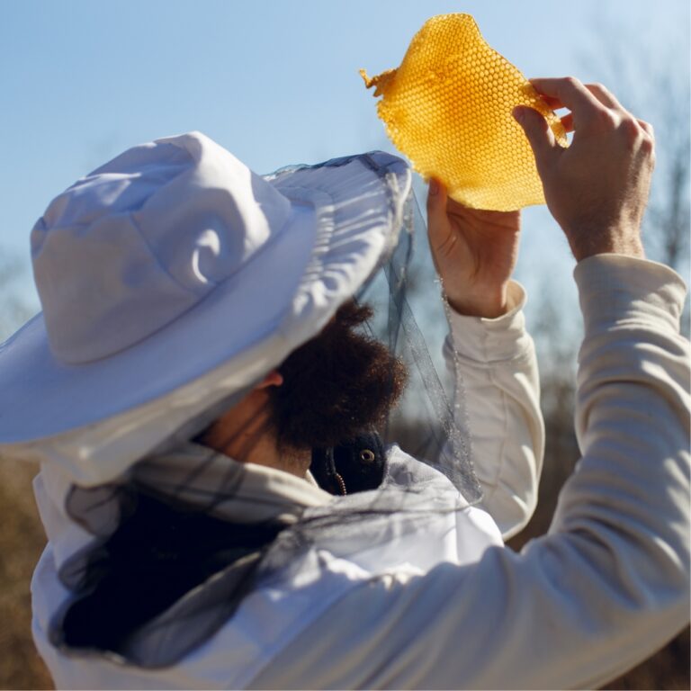 Onehive – The best local honey. Single Origin, Raw & Unfiltered.