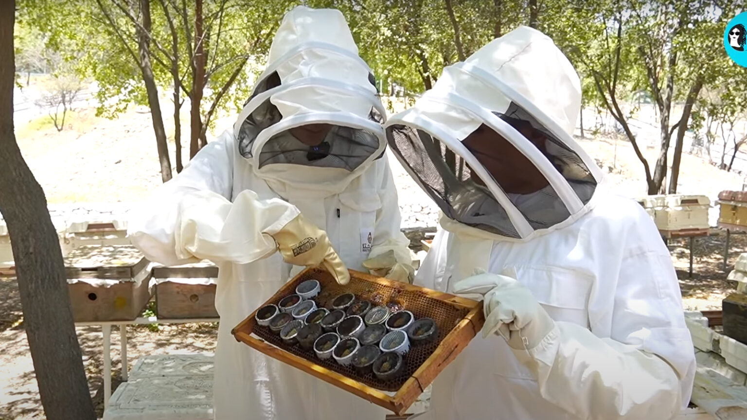 UAE’s Biggest Bee Farm Owned By H.E Sheikh Saleem – OneHive